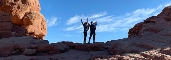 Fairy Spotlight: Courtney Lewis - Hold The Magic