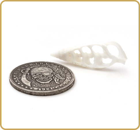 Complete Tooth Fairy Journey – Tooth Fairy Gift Kit for 18 Visits ...